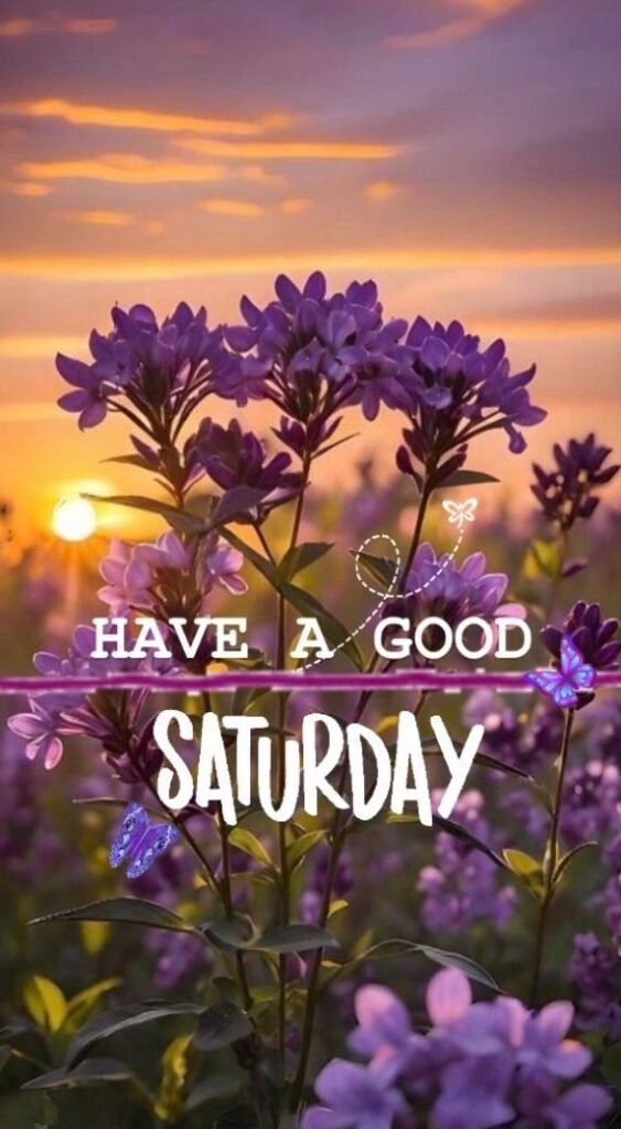 110+ Good Morning Saturday Images, Pics, Photos HD